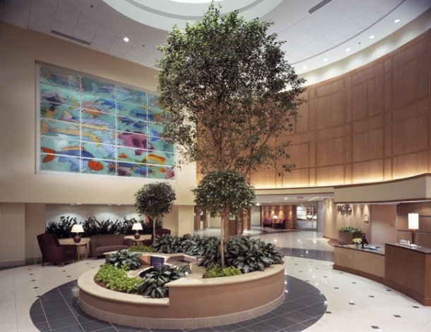 FMG Design, Inc. » Floyd Medical Center – Rome, Georgia