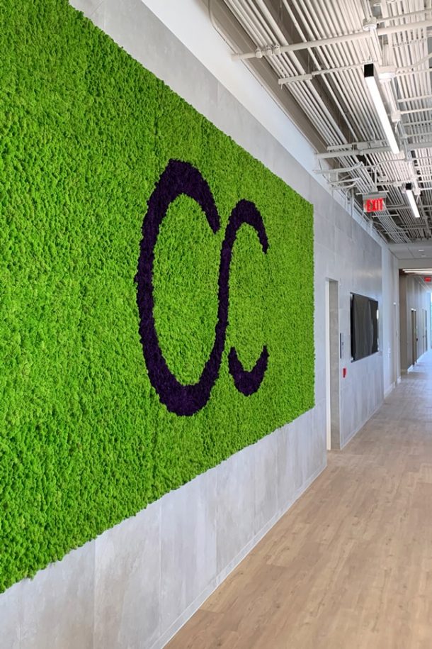 FMG Design, Inc. » Crown Castle Headquarters – Houston, Texas